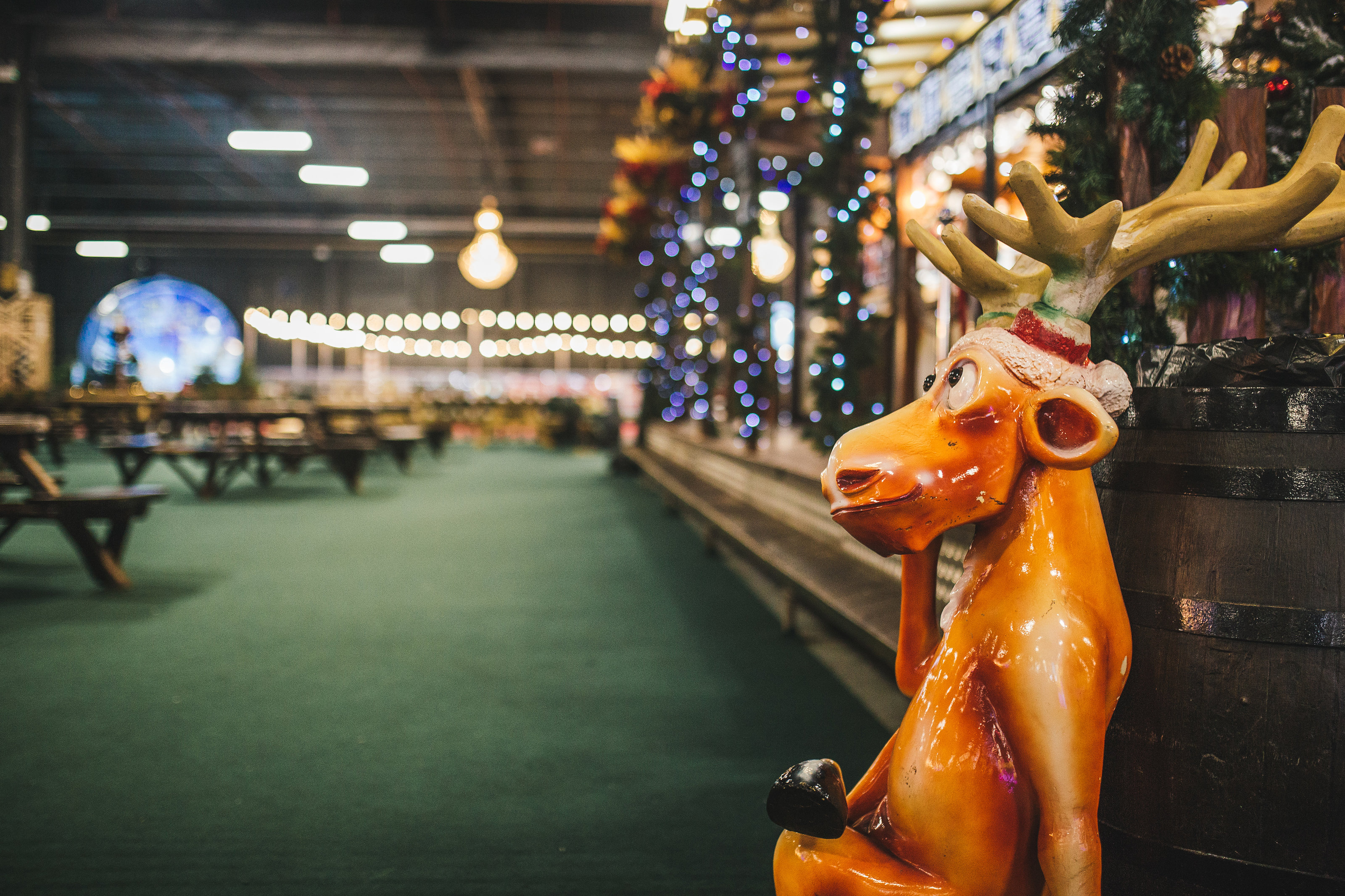 Winter Funland | Gallery | Winter Funland 2018