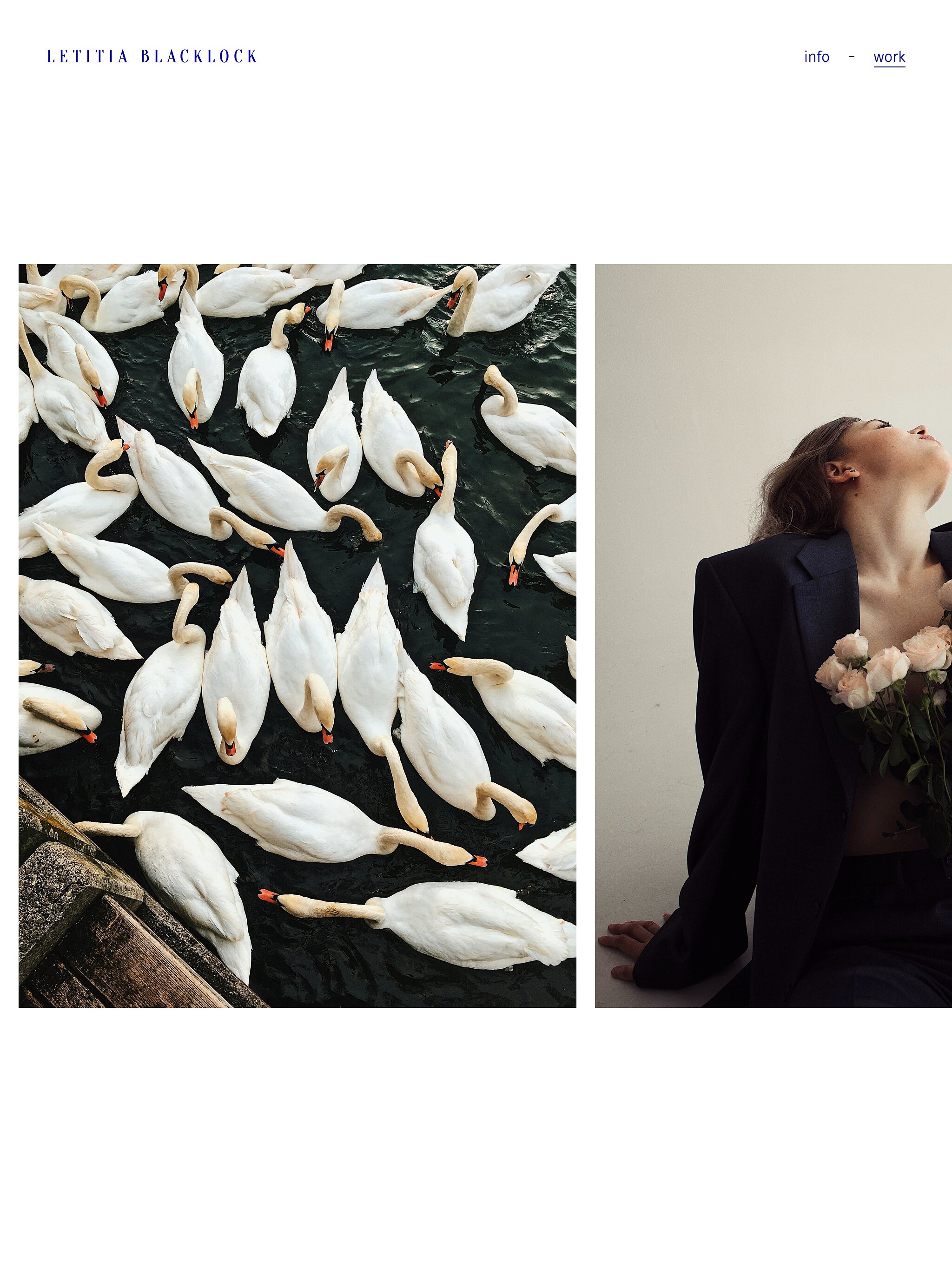 Digital Photo Gallery | Websites