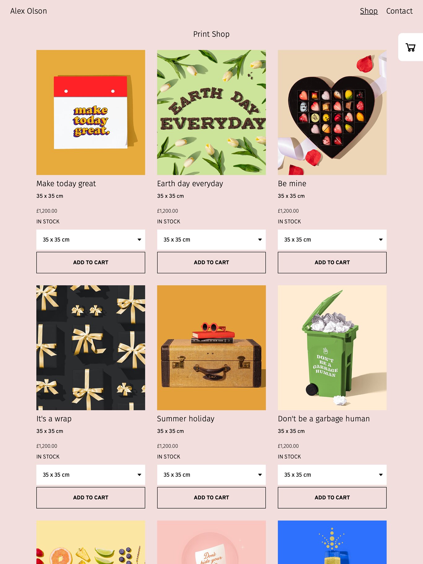 Digital Photo Gallery | Sales