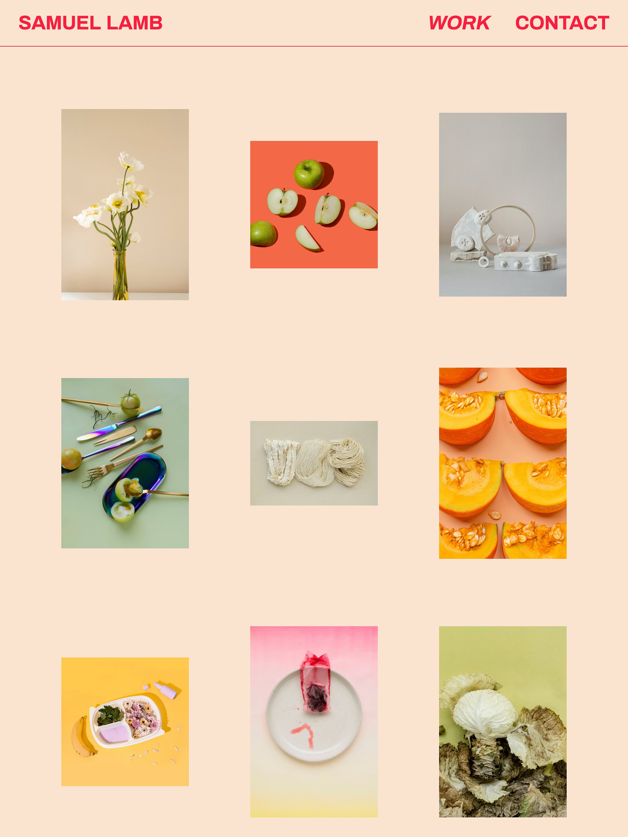 Digital Photo Gallery | Websites