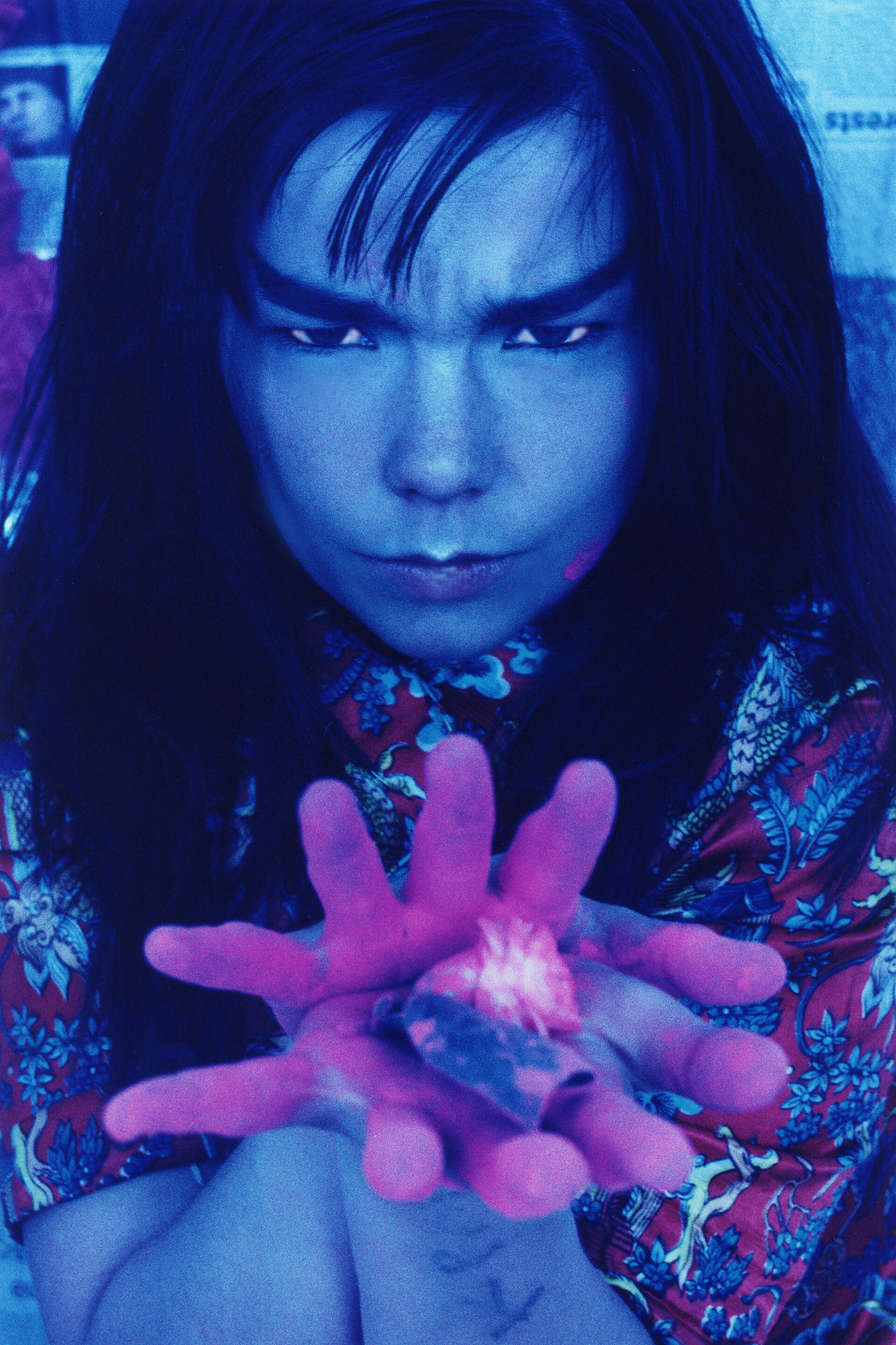 Bolt Agency | Photographers | Music | Bjork by Kate Garner